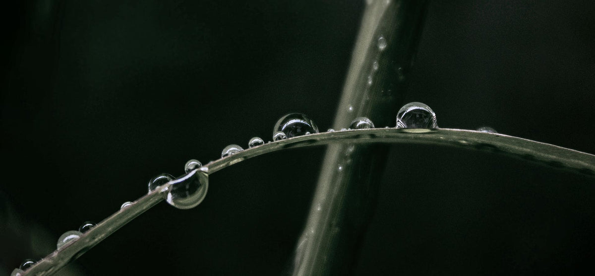 Drops design inspiration – Drakenberg Sjölin